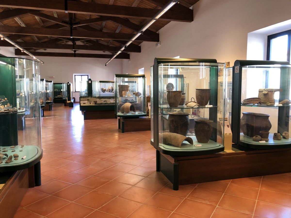 Musei - Museo civico Ferrante Rittatore Vonwiller